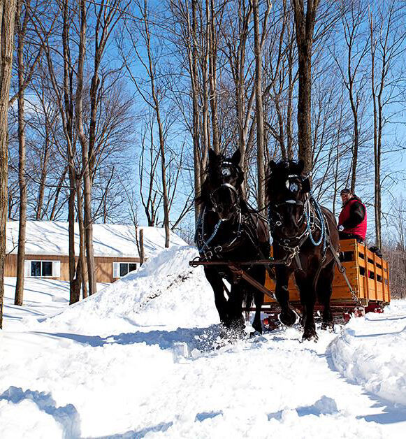 Cabanes à sucre - Laurentides